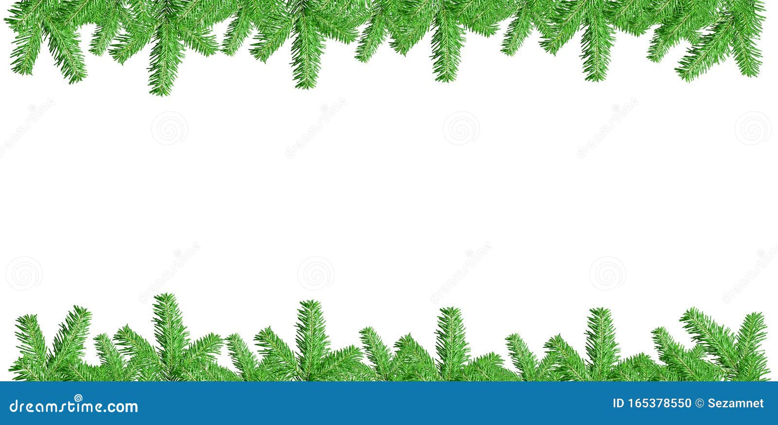 Christmas Border of Spruce Branches Isolated White Background Stock ...