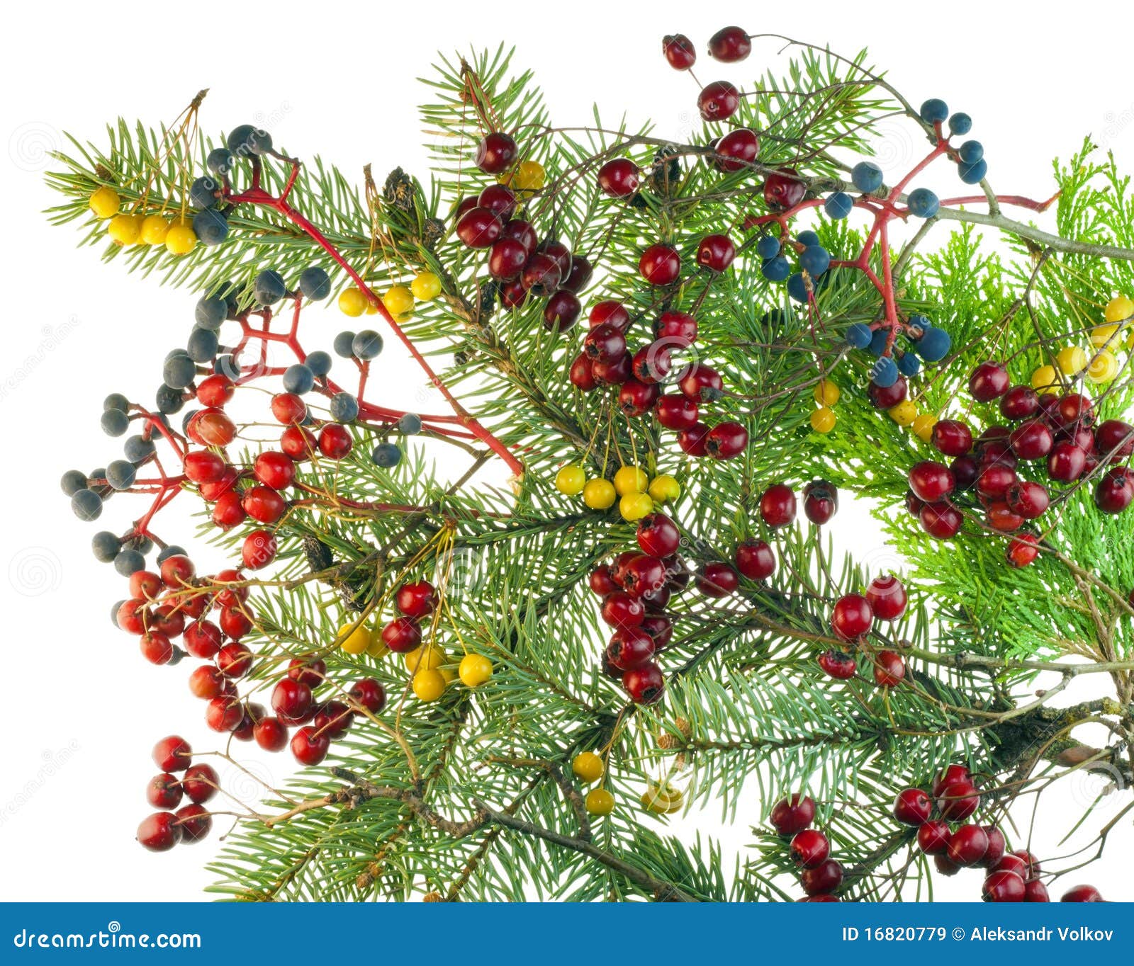 Christmas Bouquet from Berries Stock Image - Image of traditional ...
