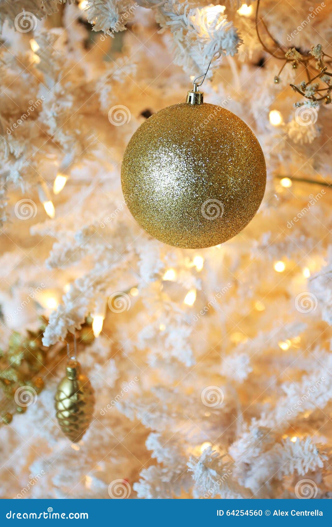 Ornimate Stock Photos - Free & Royalty-Free Stock Photos from Dreamstime