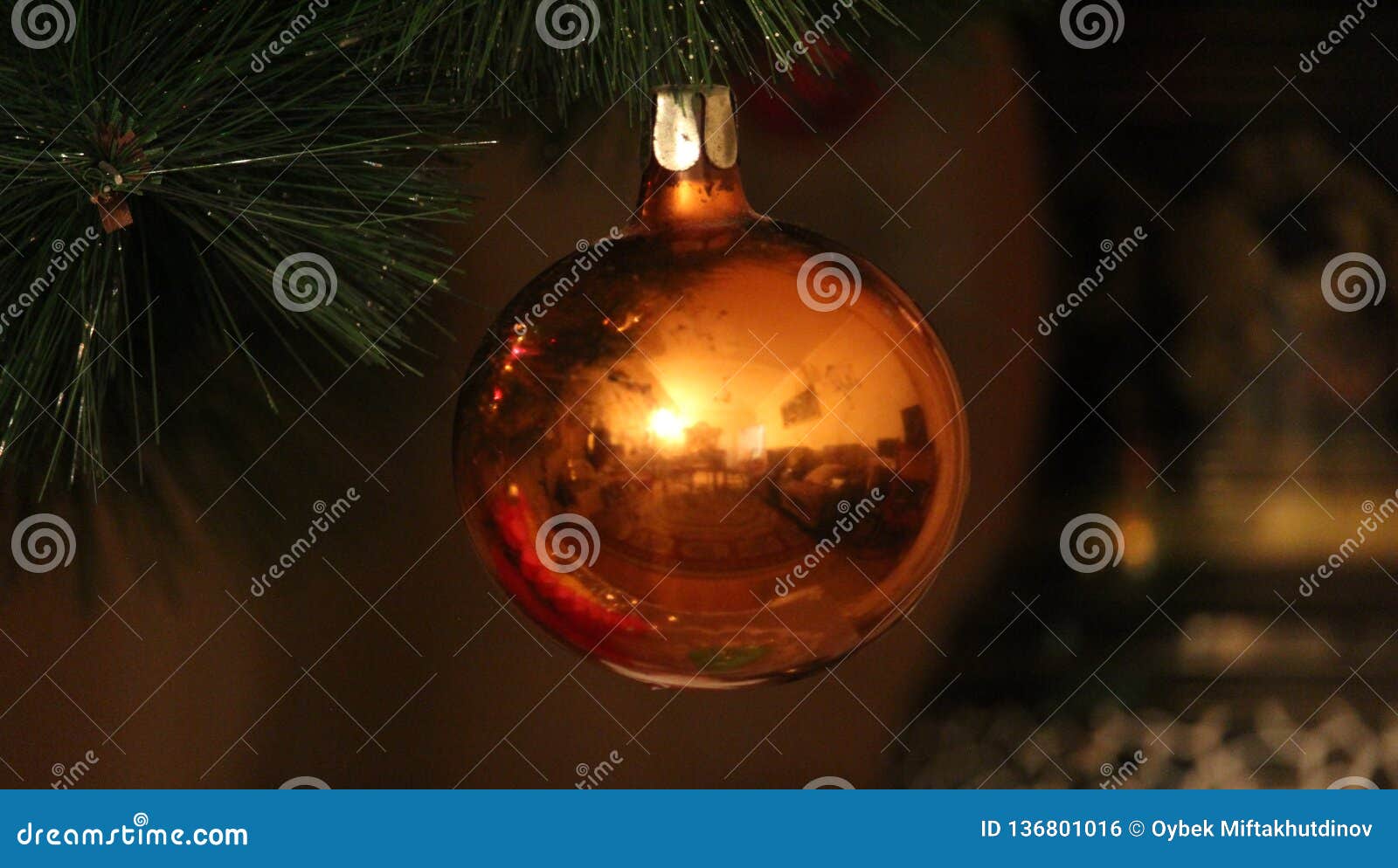 The Christmas Bulb on Pine Tree. Stock Photo - Image of room, pine ...