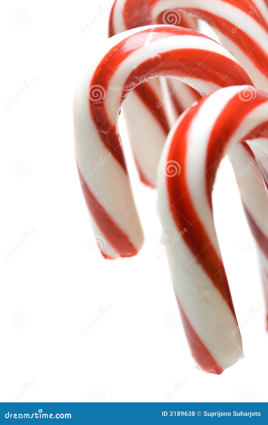 Christmas candy cane stock photo. Image of macro, holiday - 3189638
