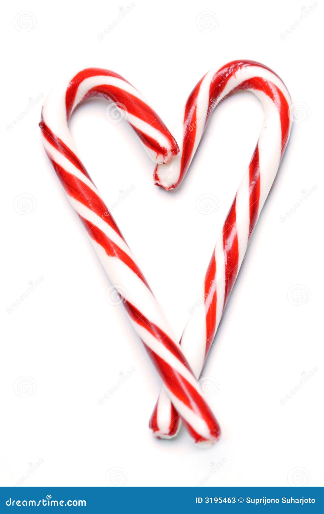 Christmas candy cane stock image. Image of cane, closeup - 3195463