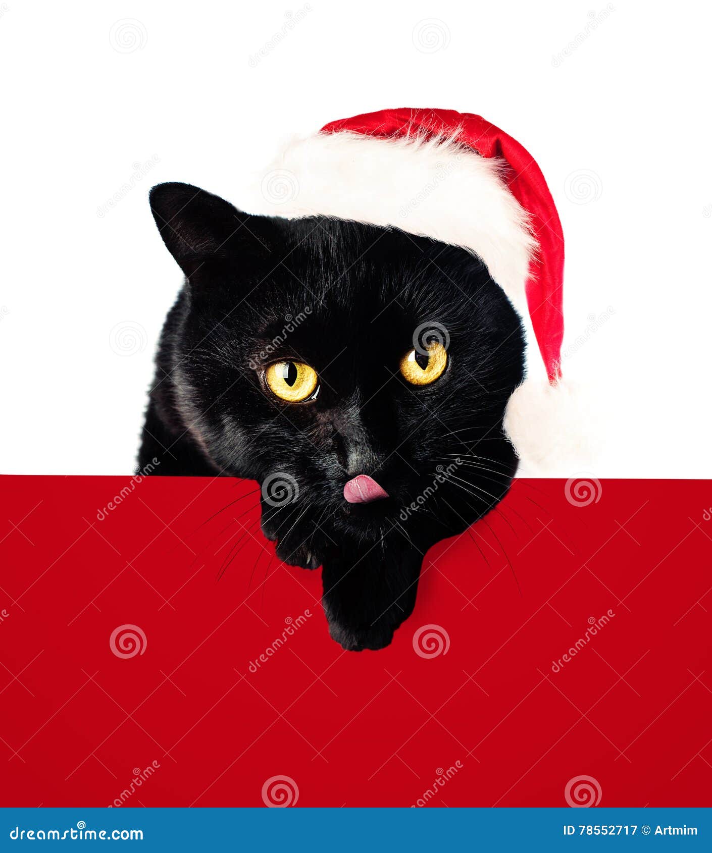 Christmas Cat in Santa Hat and Red Banner Stock Image - Image of ...