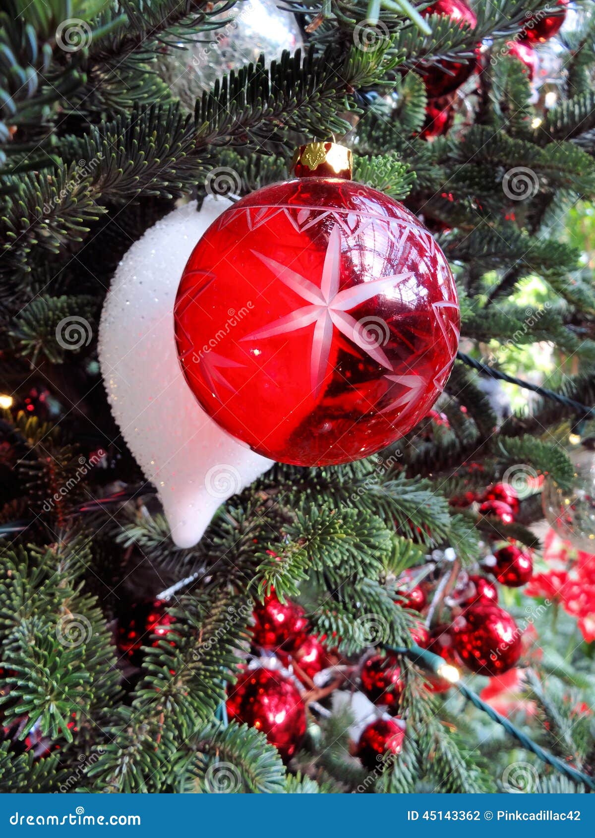 Christmas cheer stock photo. Image of cheer, decorations - 45143362