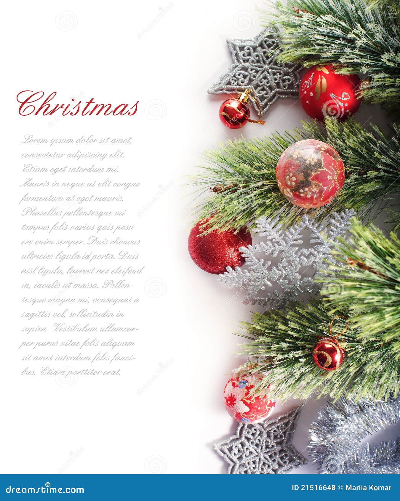 Christmas composition stock photo. Image of bright, evergreen - 21516648