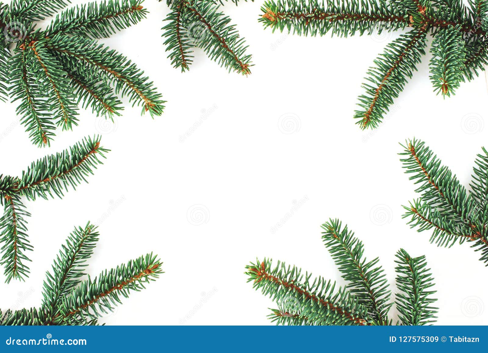 Christmas Composition. Green Fir, Spruce Tree Branches Border Isolated ...