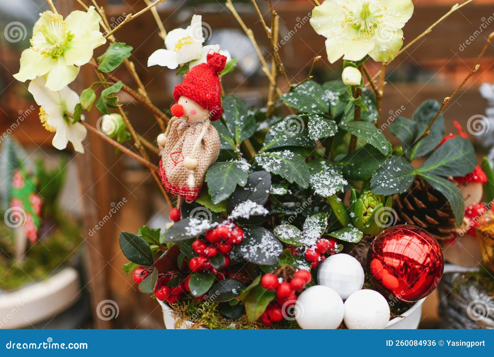 Christmas Composition with Plants in a Pot Stock Photo - Image of ...