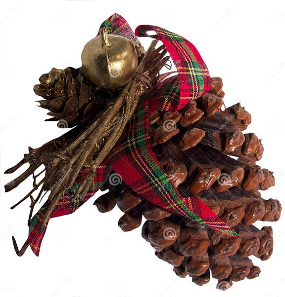 Christmas cone stock image. Image of flora, juniper, holiday - 143293