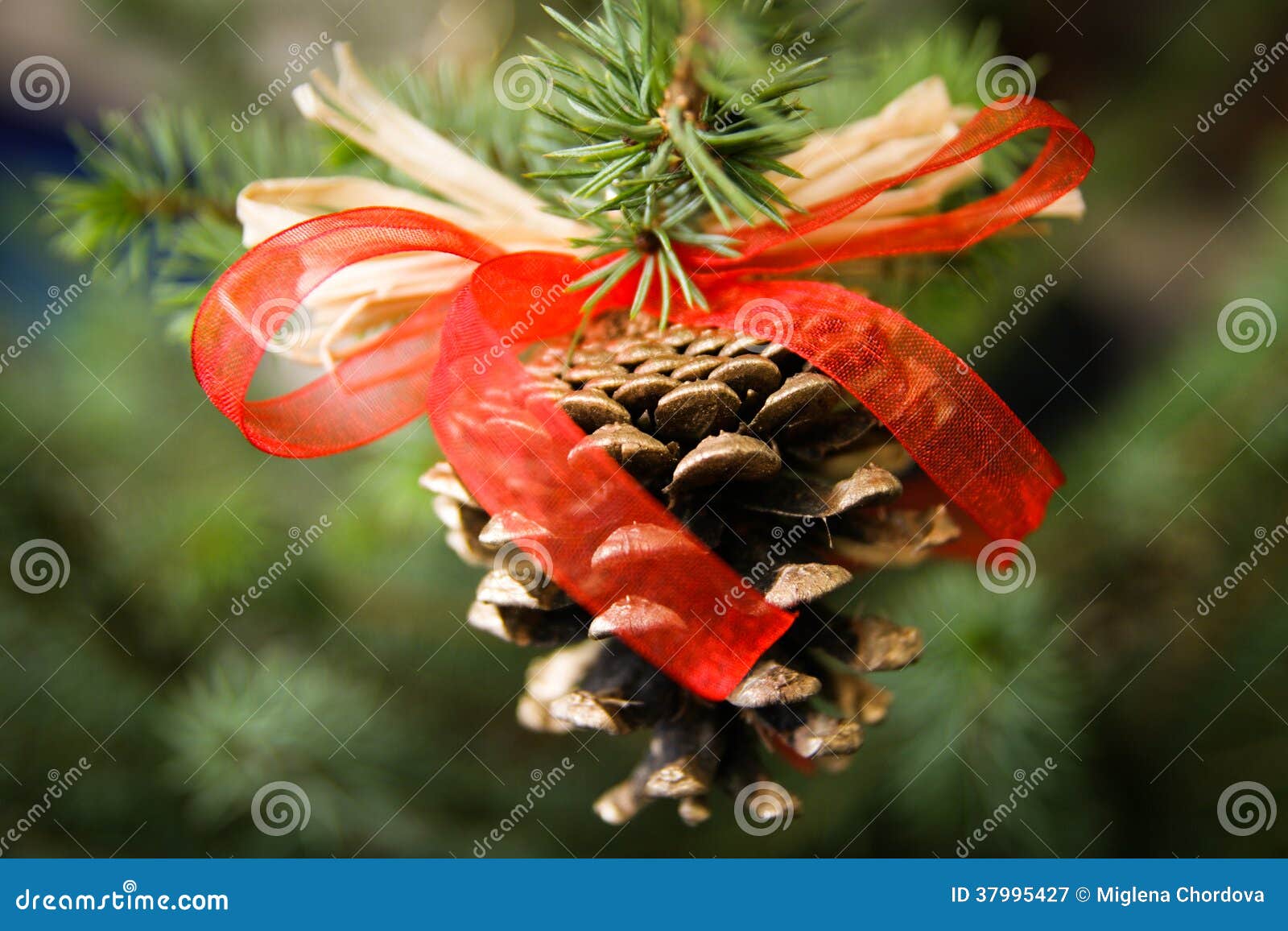 Christmas cone stock image. Image of decoration, celebration - 37995427