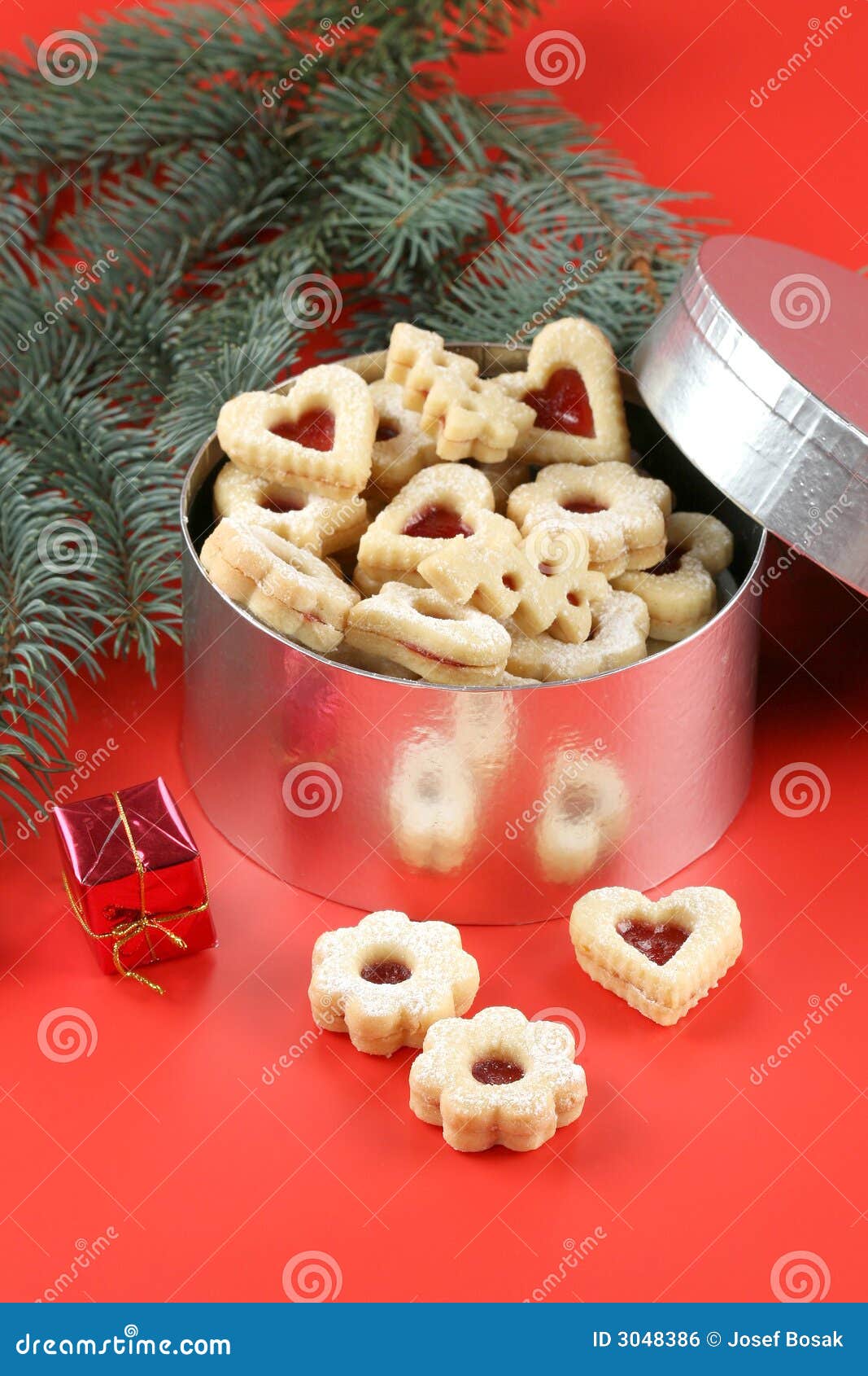 Christmas cookies stock photo. Image of gift, cookies - 3048386
