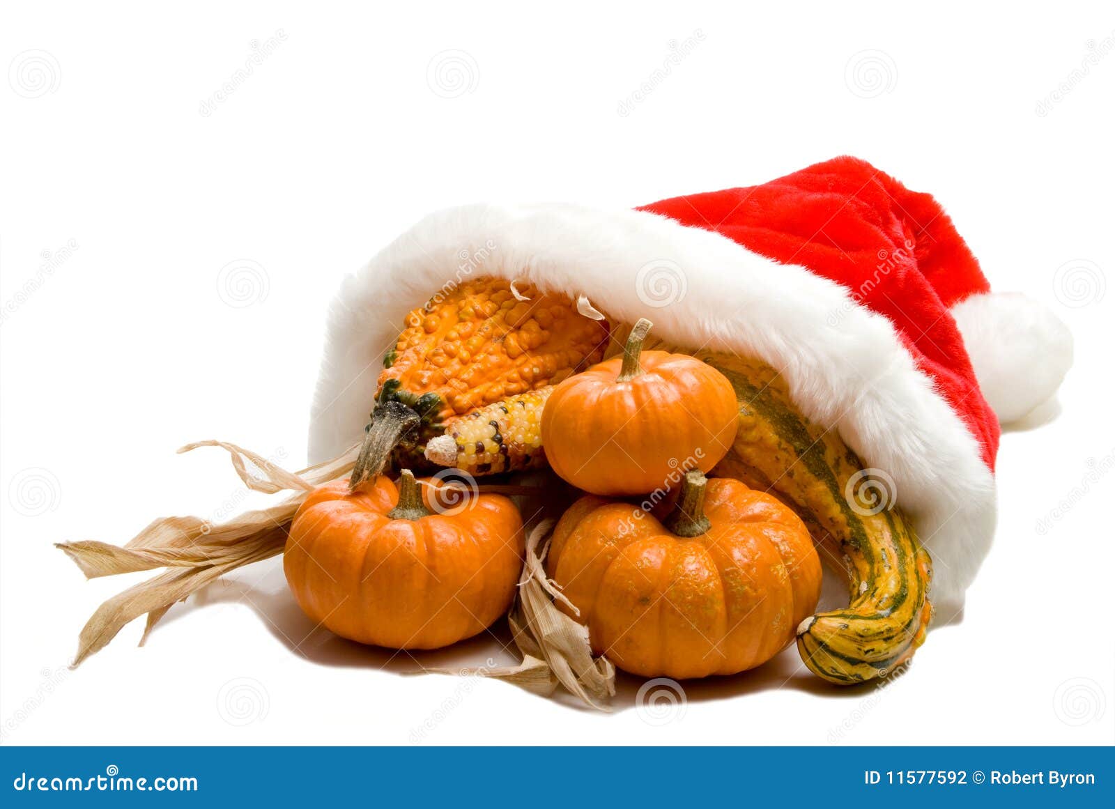 Christmas Cornucopia stock photo. Image of holiday, fall - 11577592