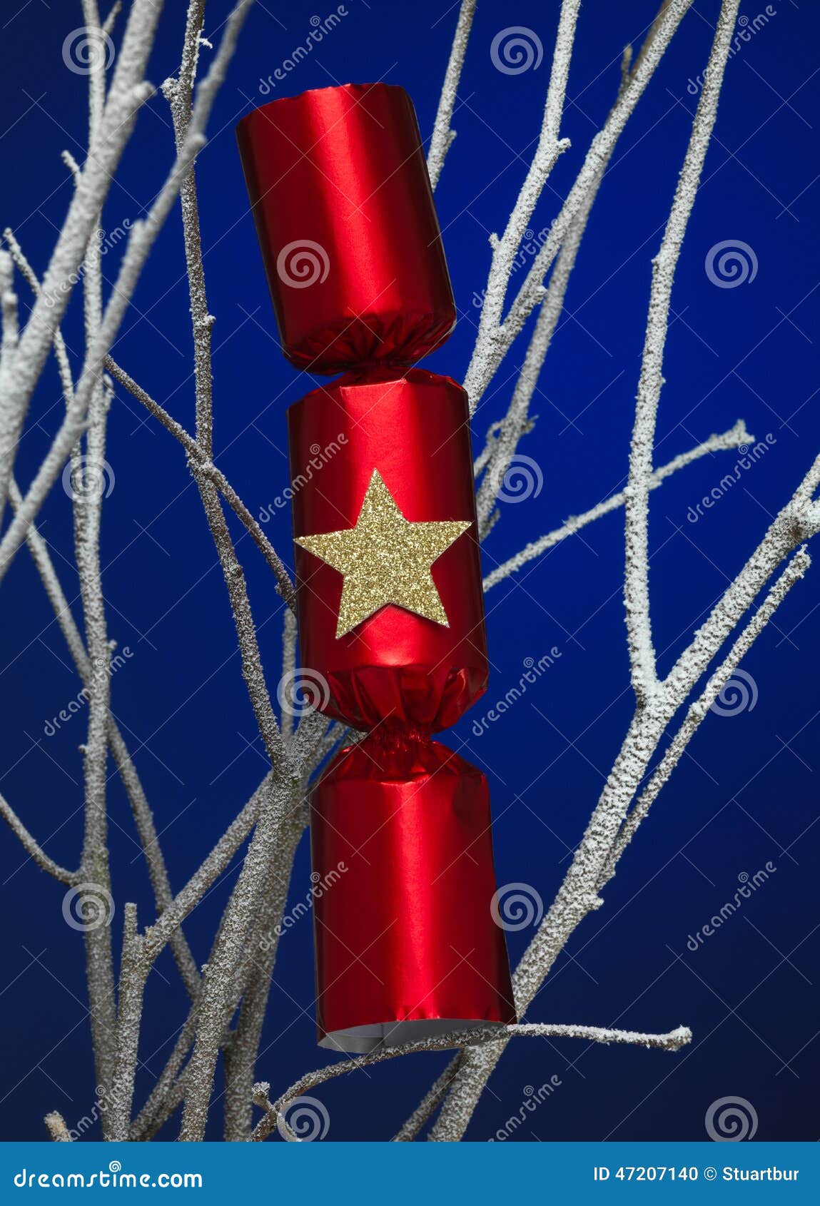 Christmas Cracker stock photo. Image of holidays, tree - 47207140