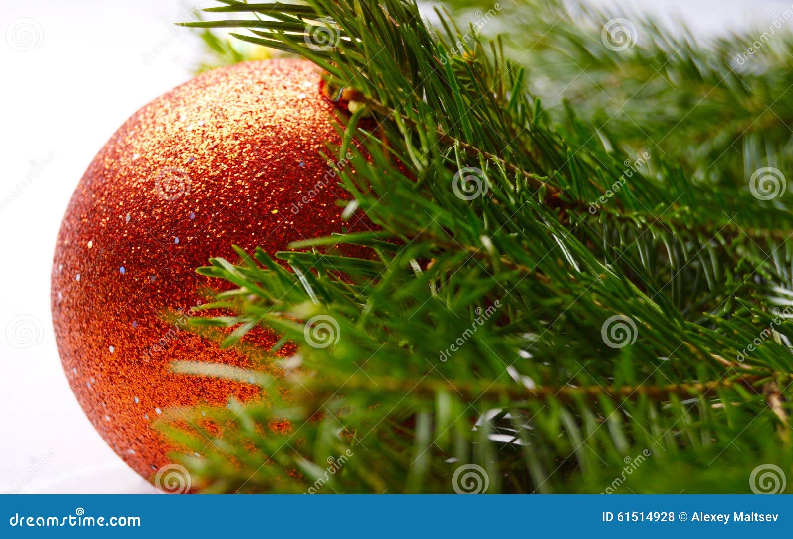 Christmas Decoration Close-up Stock Photo - Image of cone, festive ...