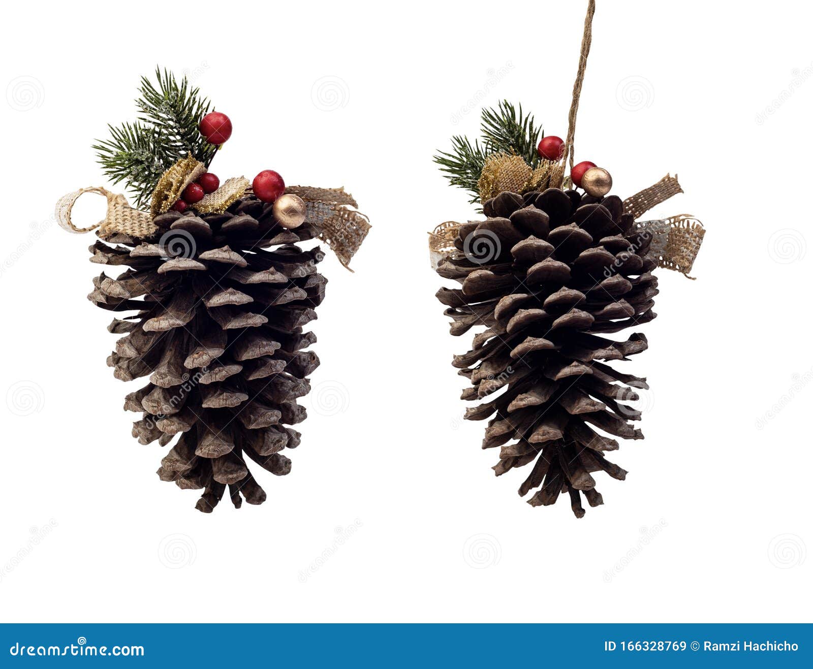 Christmas Decoration of Holly Berry and Pine Cone Isolated on White ...