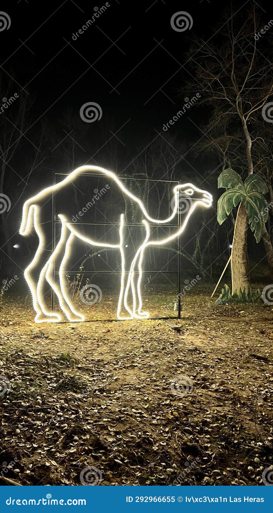 Christmas Decoration of the Illuminated Silhouette of a Camel at Night ...