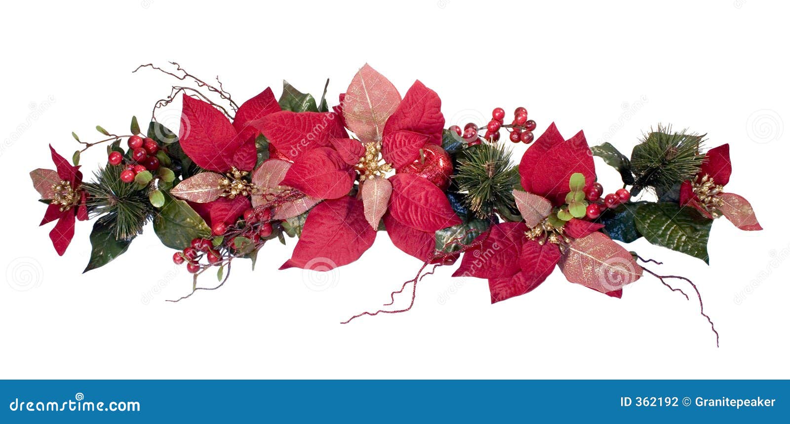 Christmas Decoration - Poinsettia Stock Photo - Image of arrangement ... Christmas Decoration - Poinsettia Stock Photo - Image of arrangement ...