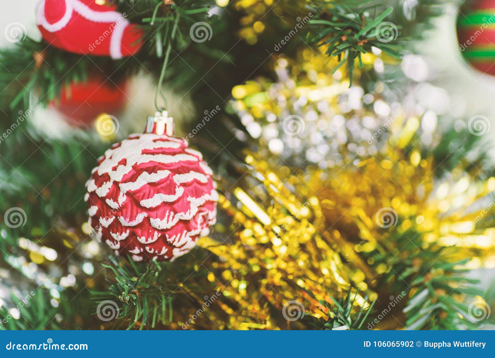 Christmas Decoration, Red Pine Cone Hanging on Pine Tree Stock Photo ...