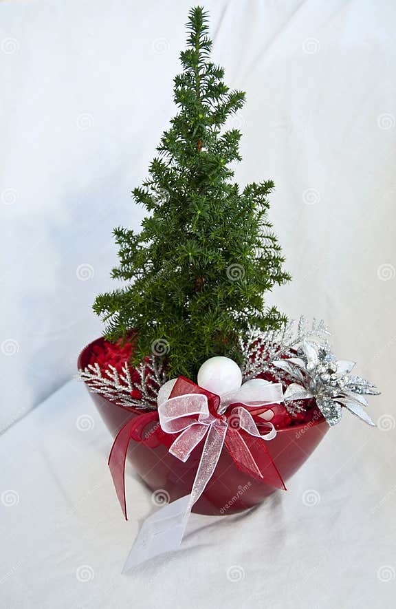 Christmas Decoration Tree in Red Pot Stock Image - Image of decorative ...