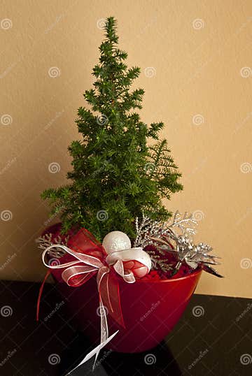 Christmas Decoration Tree in Red Pot Stock Photo - Image of abstract ...