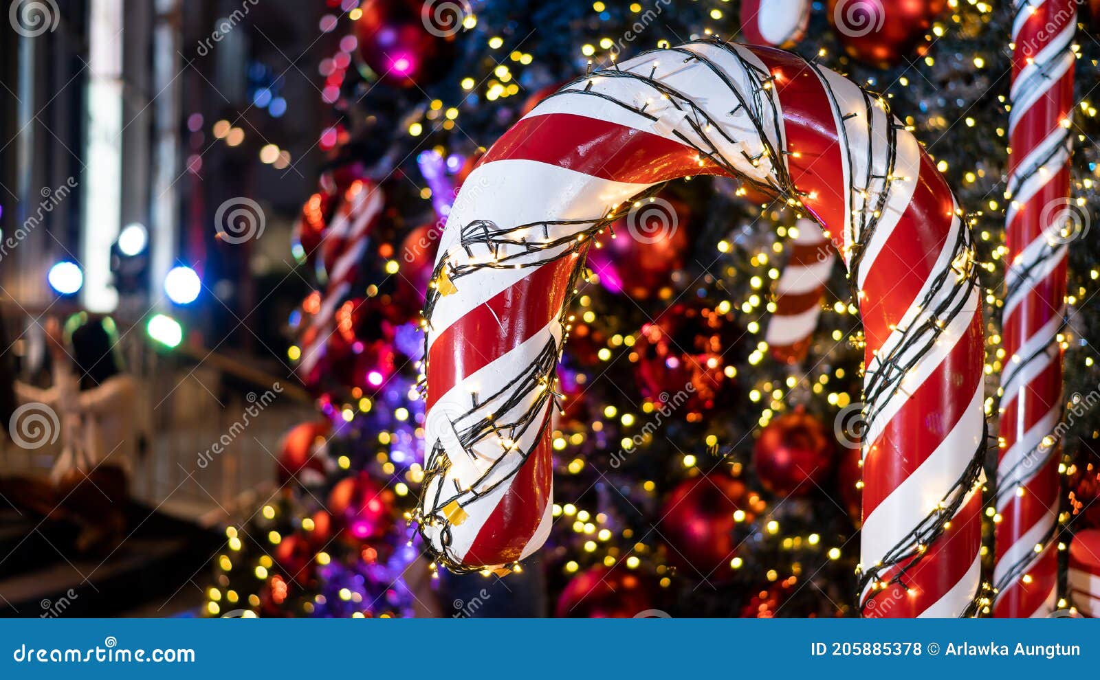 Christmas Decorations, Colorful Candy Wands on Pine Stock Photo - Image ...