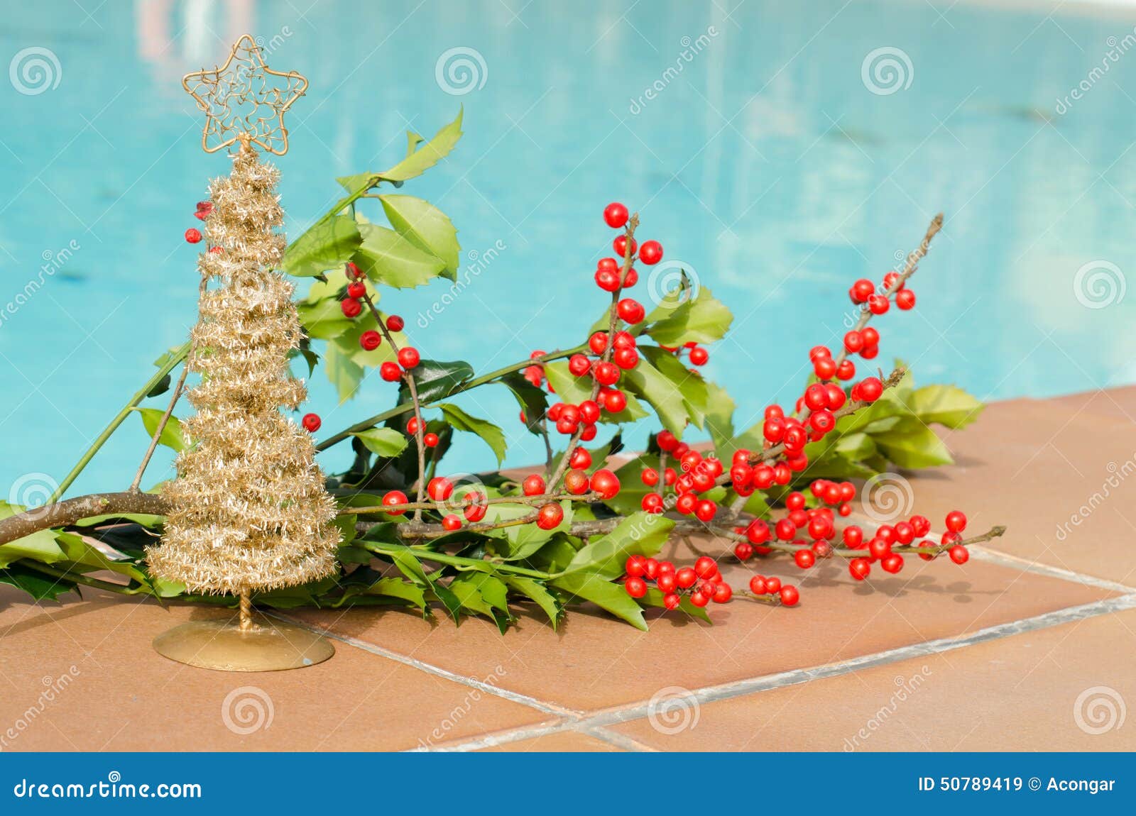 Christmas Decorations in the Pool Stock Image - Image of decoration ...