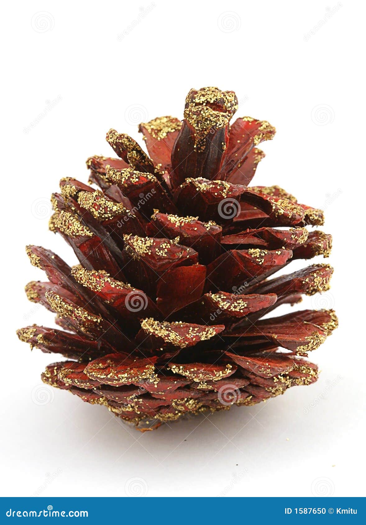 Christmas decorative cone stock photo. Image of fall, golden - 1587650