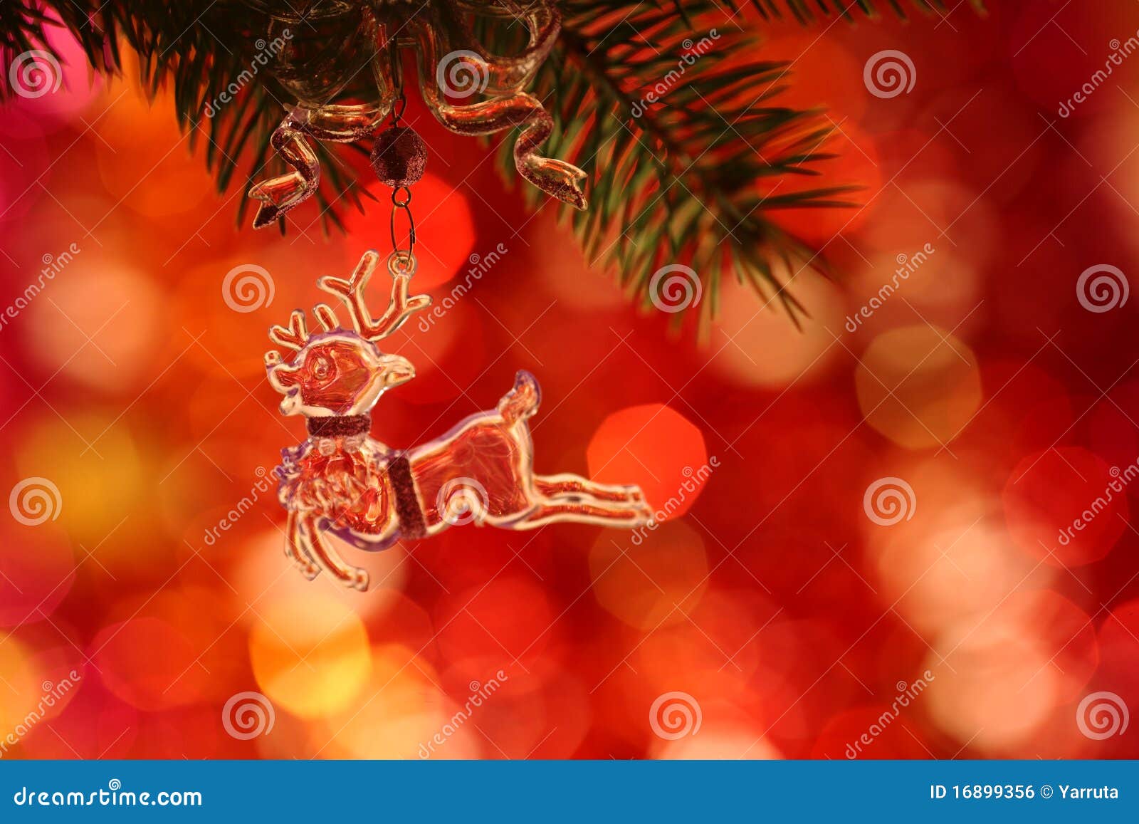 Christmas deer stock photo. Image of holidays, greeting - 16899356