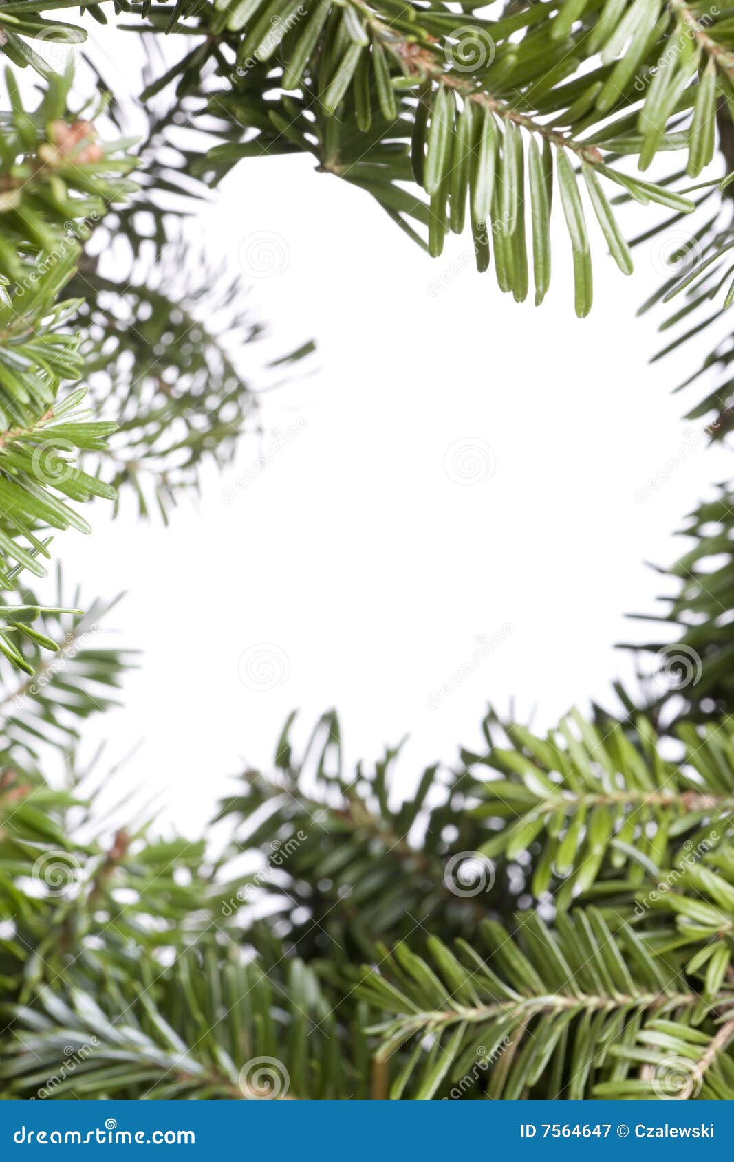 Christmas Evergreen Spruce Tree And A Silver Ball With Santa Claus ...