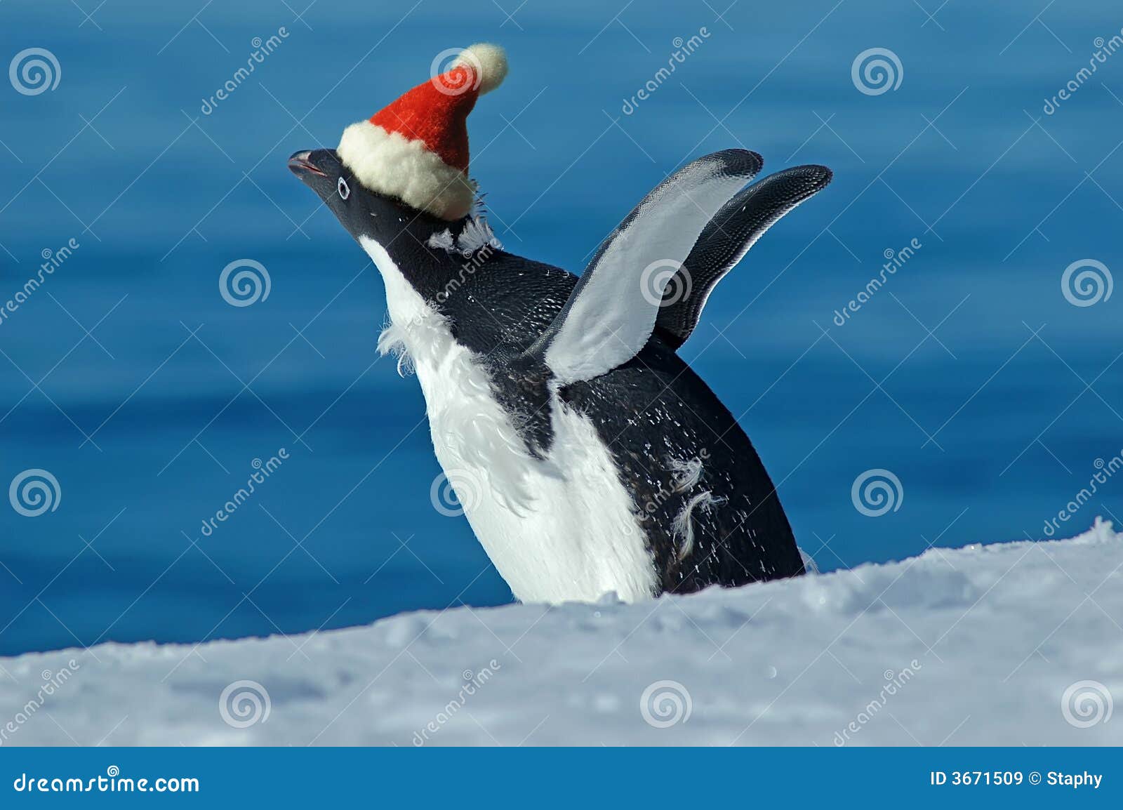 Christmas excitement stock image. Image of celebration - 3671509