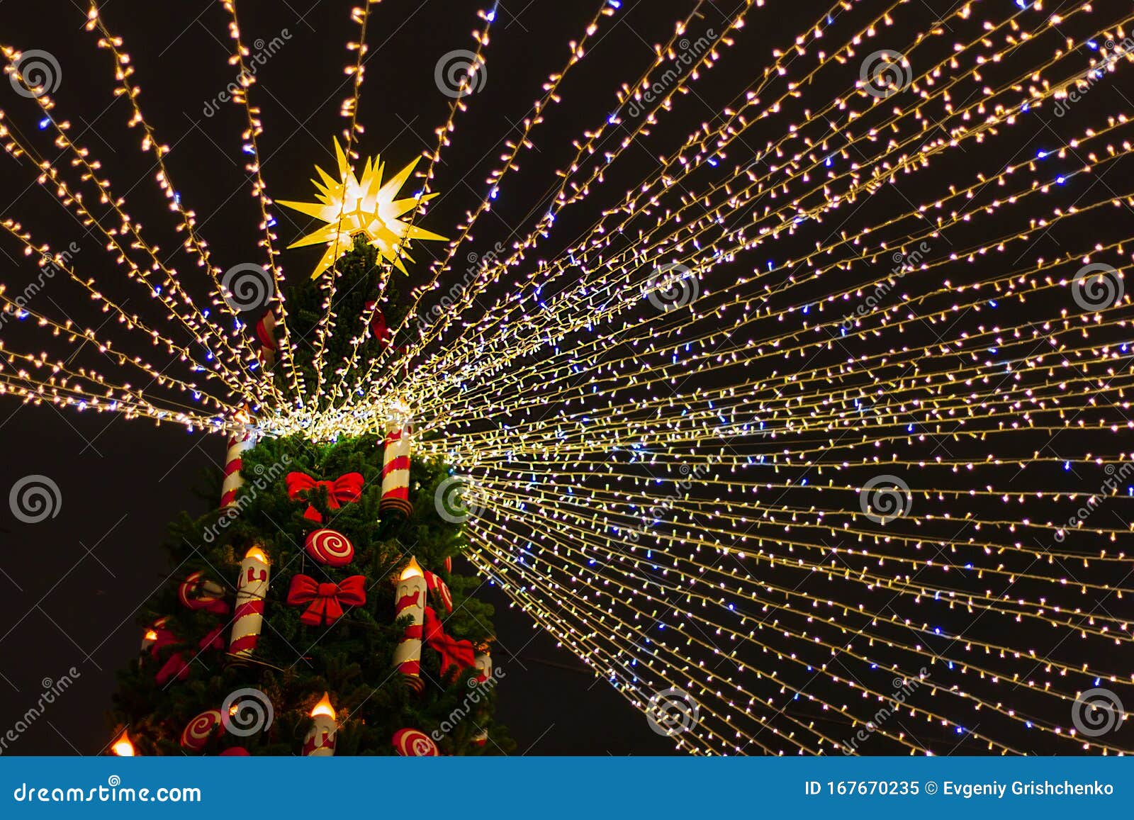 Christmas Fair Garlands Hanging in Different Directions from the Tree ...