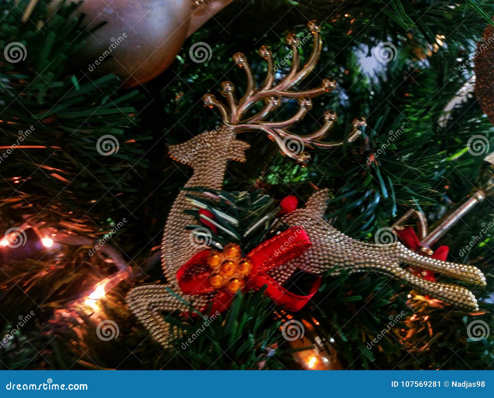 Tree Irvas Stock Photos - Free & Royalty-Free Stock Photos from Dreamstime