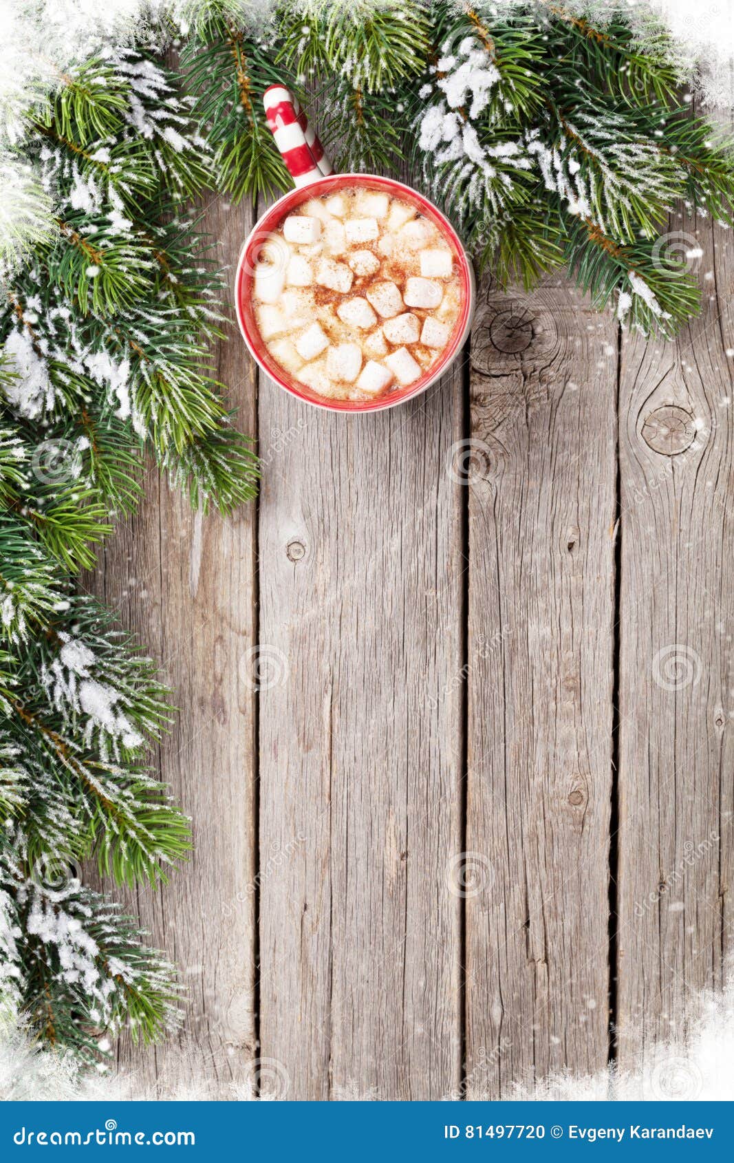 Christmas Fir Tree and Hot Chocolate Stock Photo - Image of marshmallow ...