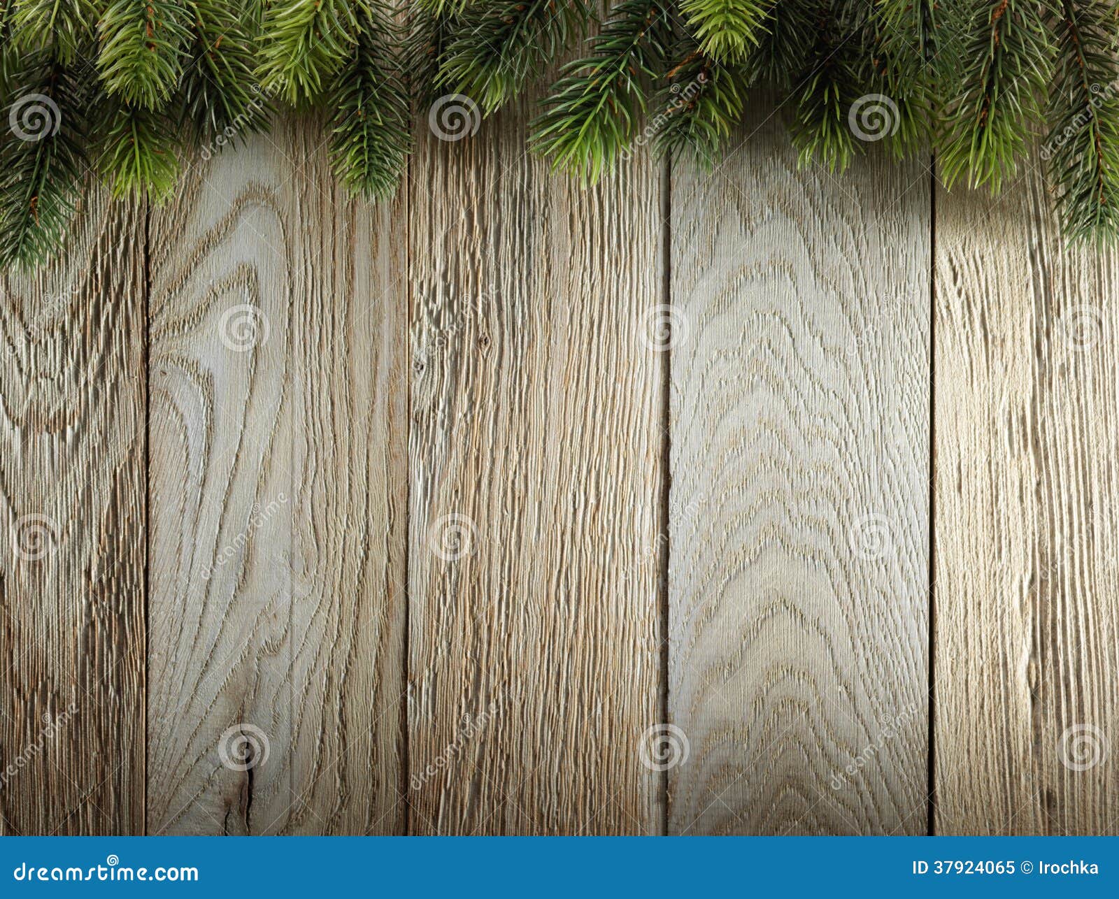 Christmas Fir Tree on Wood Texture. Background Old Panels Stock Image ...