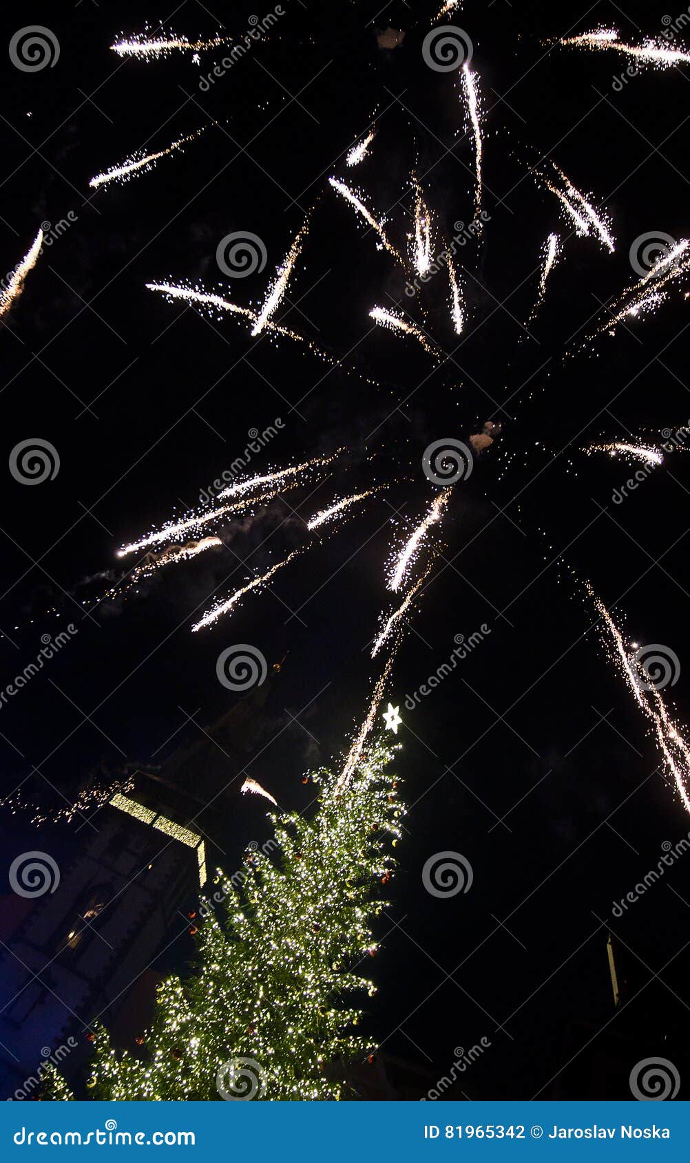 Fireworks On The Tree Royalty-Free Stock Photo | CartoonDealer.com ...