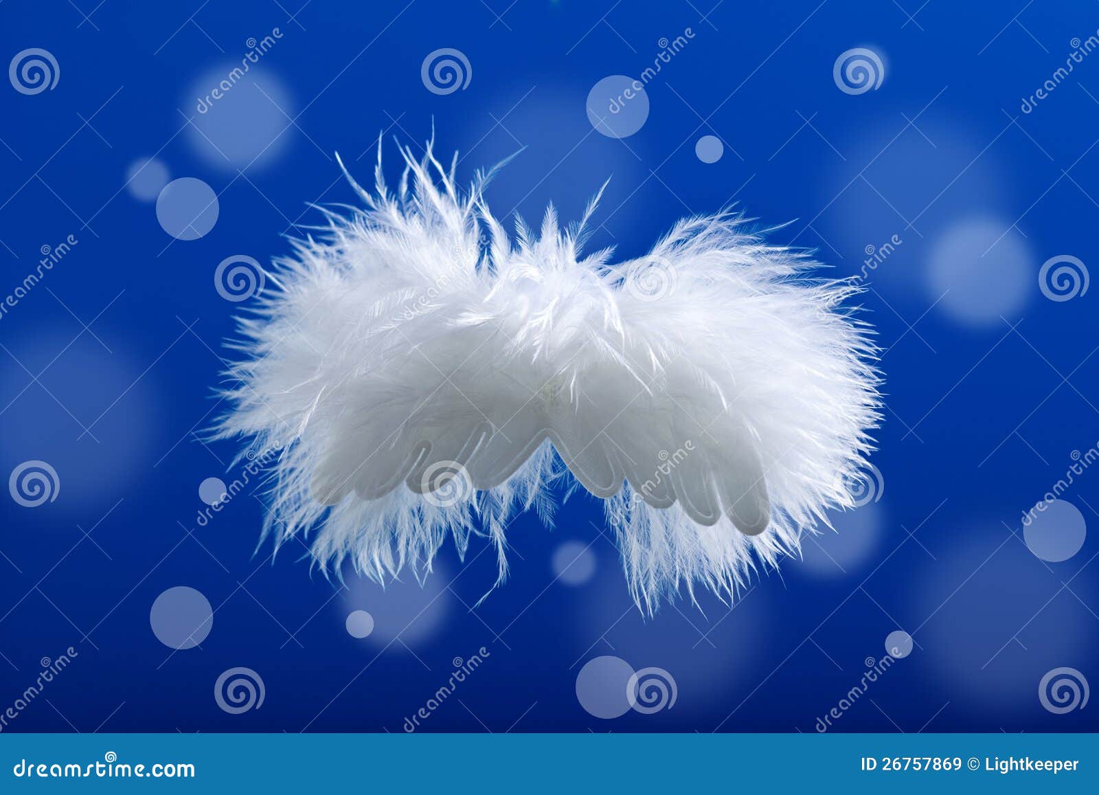 Christmas fluffy angel stock image. Image of feather - 26757869