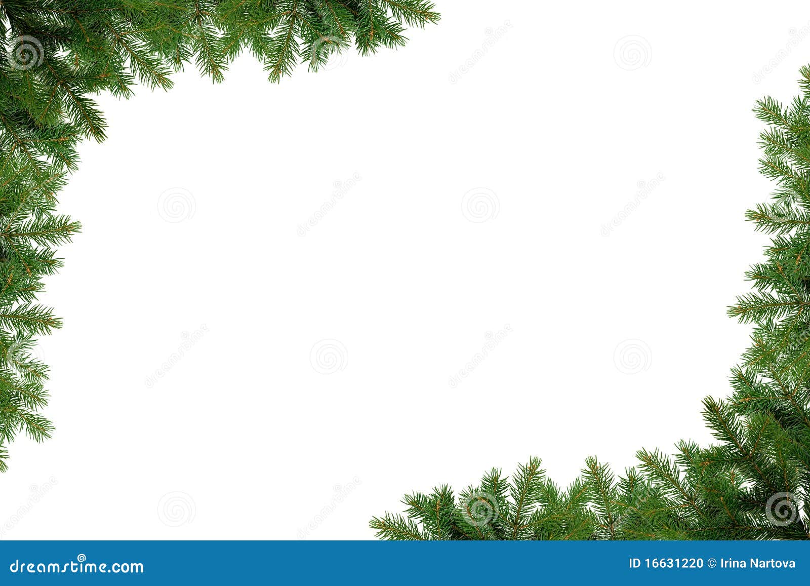Christmas frame stock photo. Image of bush, seasons, needles - 16631220