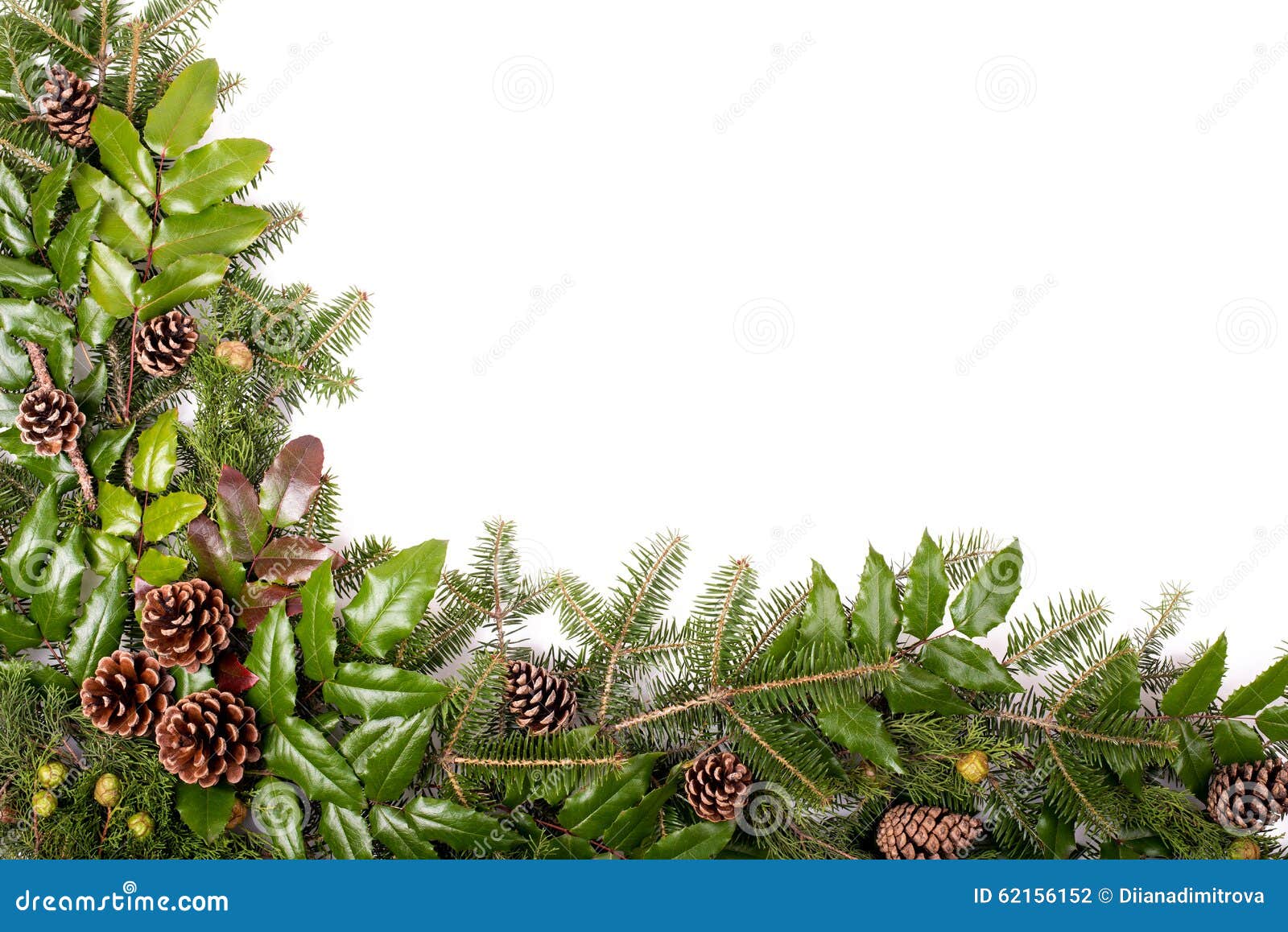 1,408 Pine Tree Framework Space Copy Stock Photos - Free & Royalty-Free ...