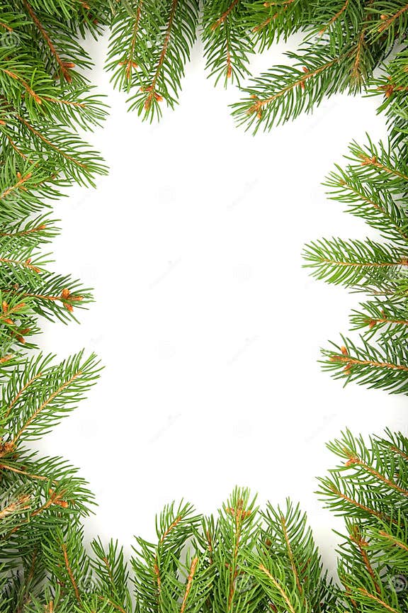 Christmas framework stock photo. Image of tree, seasons - 295372800