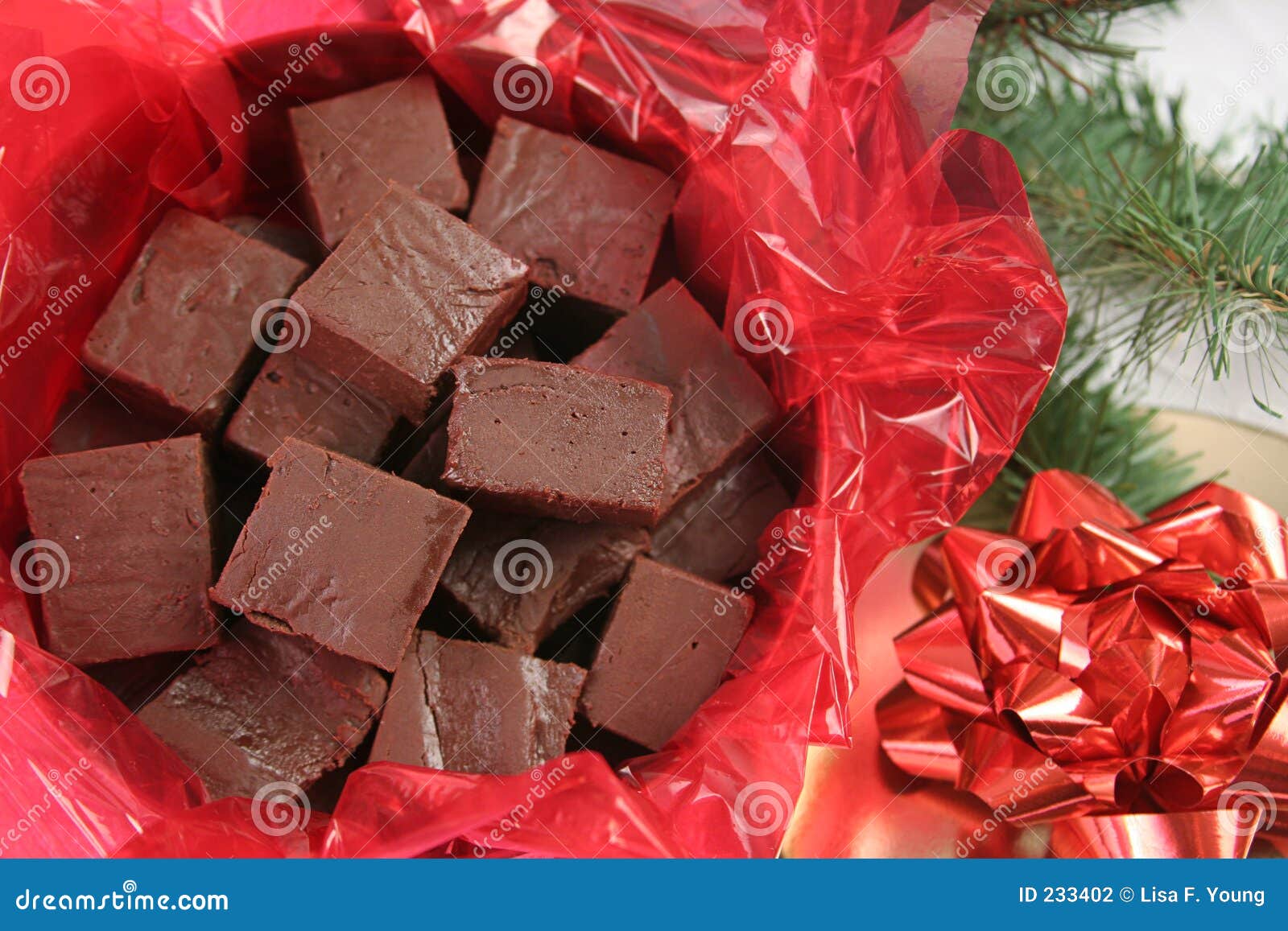 Christmas Fudge stock photo. Image of seasonal, gourmet - 233402