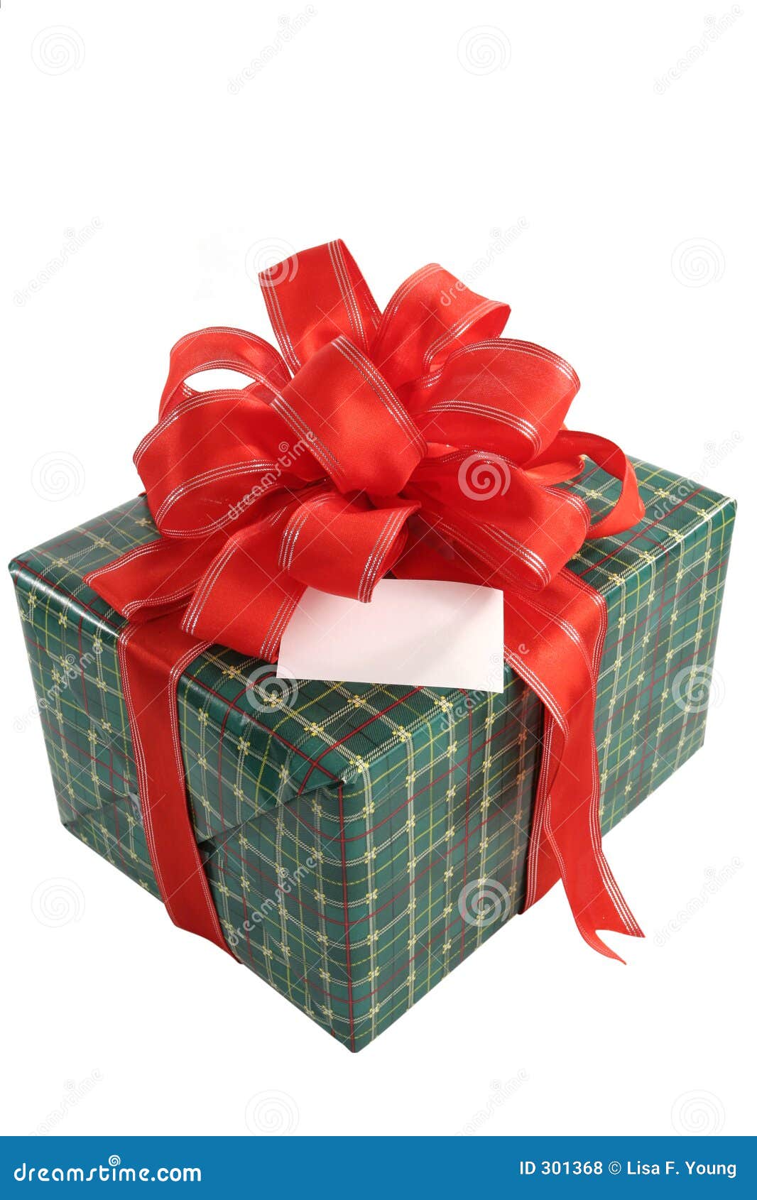 Christmas Gift with Card stock photo. Image of giving, special - 301368
