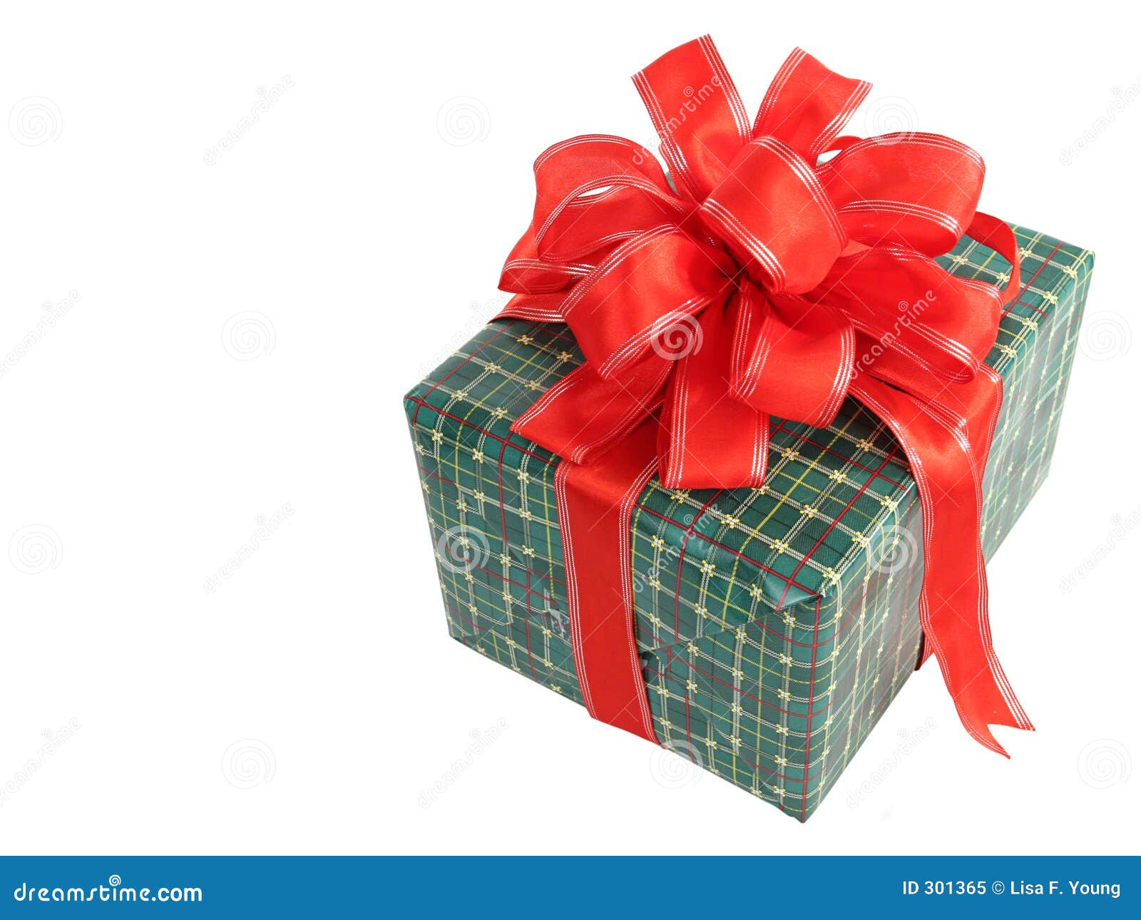 Christmas Gift Isolated stock image. Image of gratitude - 301365