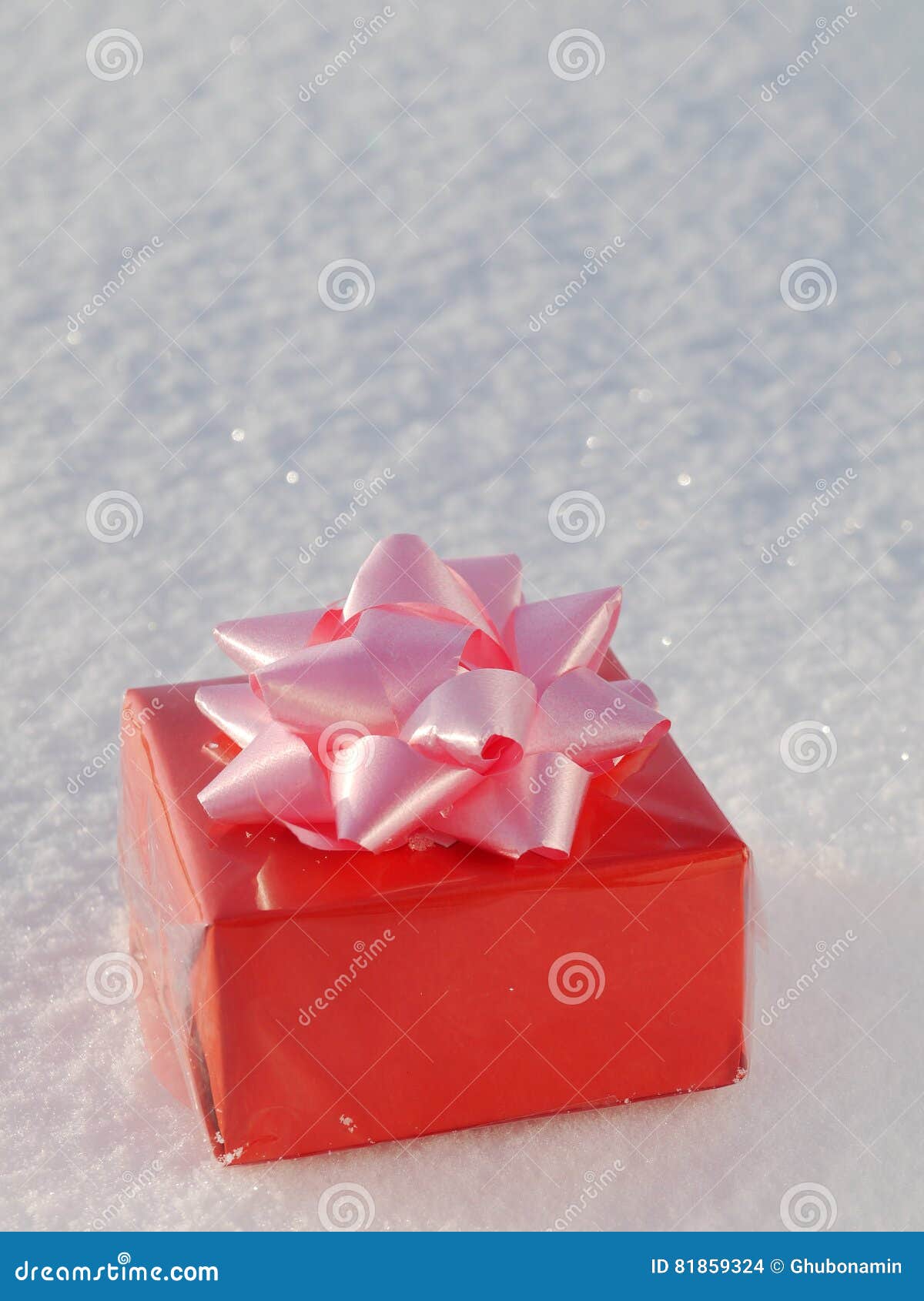 Christmas gift in the snow stock photo. Image of outdoors - 81859324
