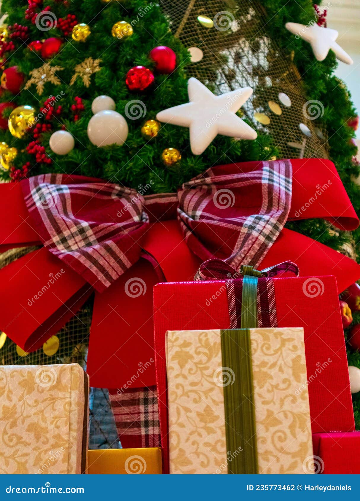 Christmas Gifts Under the Tree Stock Photo - Image of design, white ...
