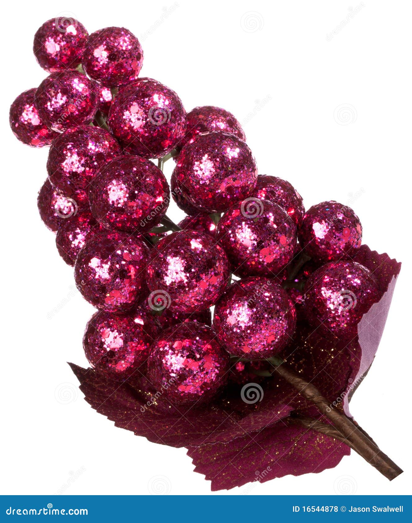 Christmas Grapes stock photo. Image of isolated, celebration - 16544878