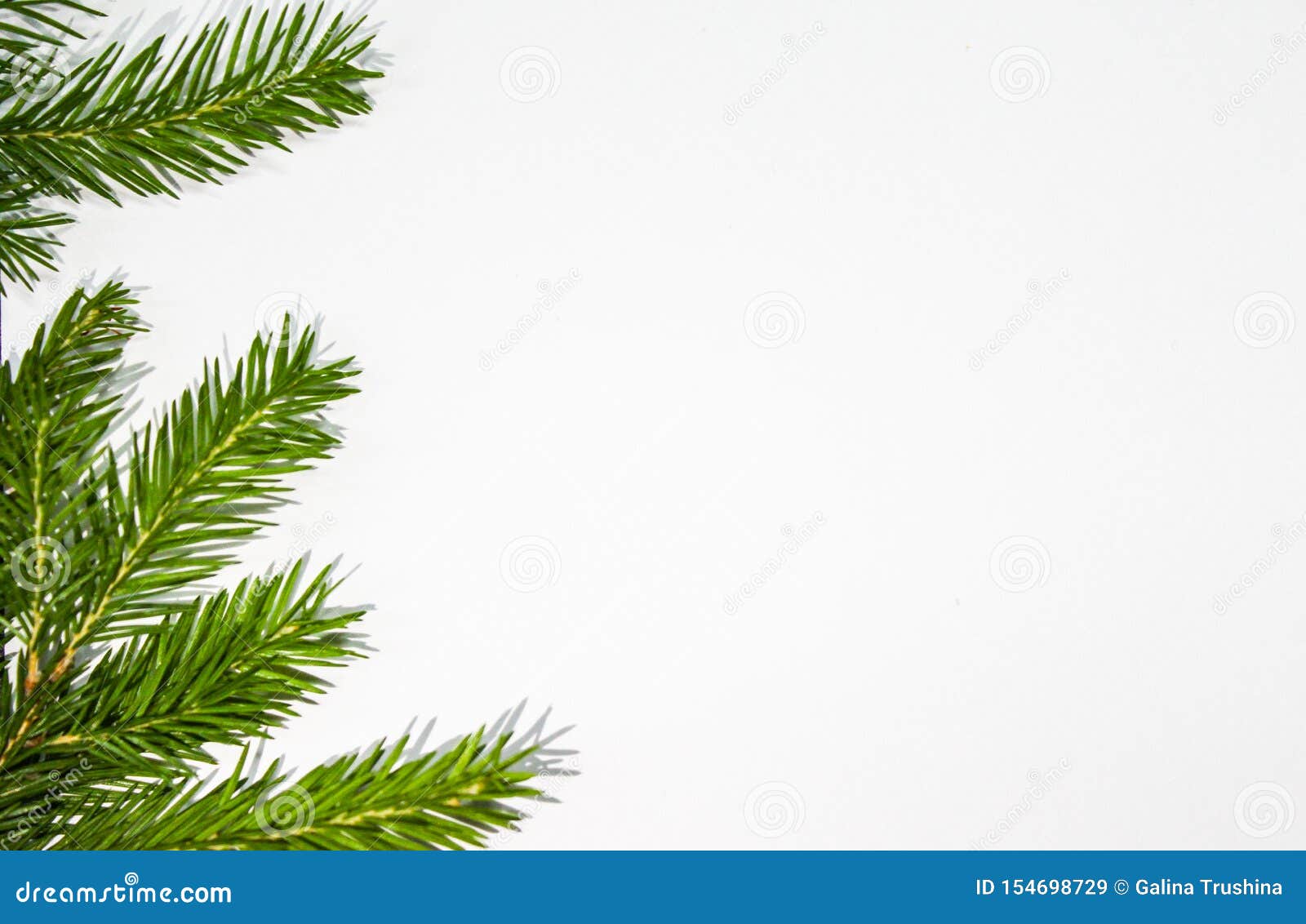 Christmas Tree Branch with Copy Space for Your Text Stock Image - Image ...