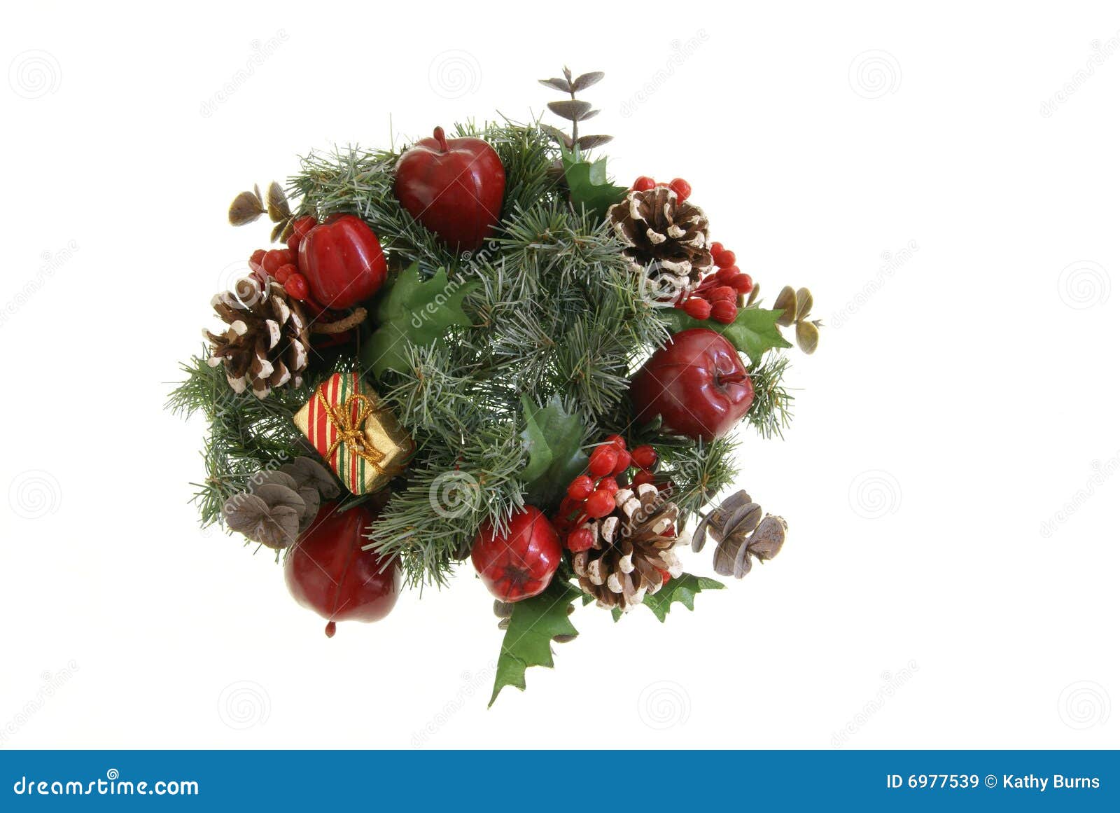 Christmas Greenery stock image. Image of branch, decor - 6977539