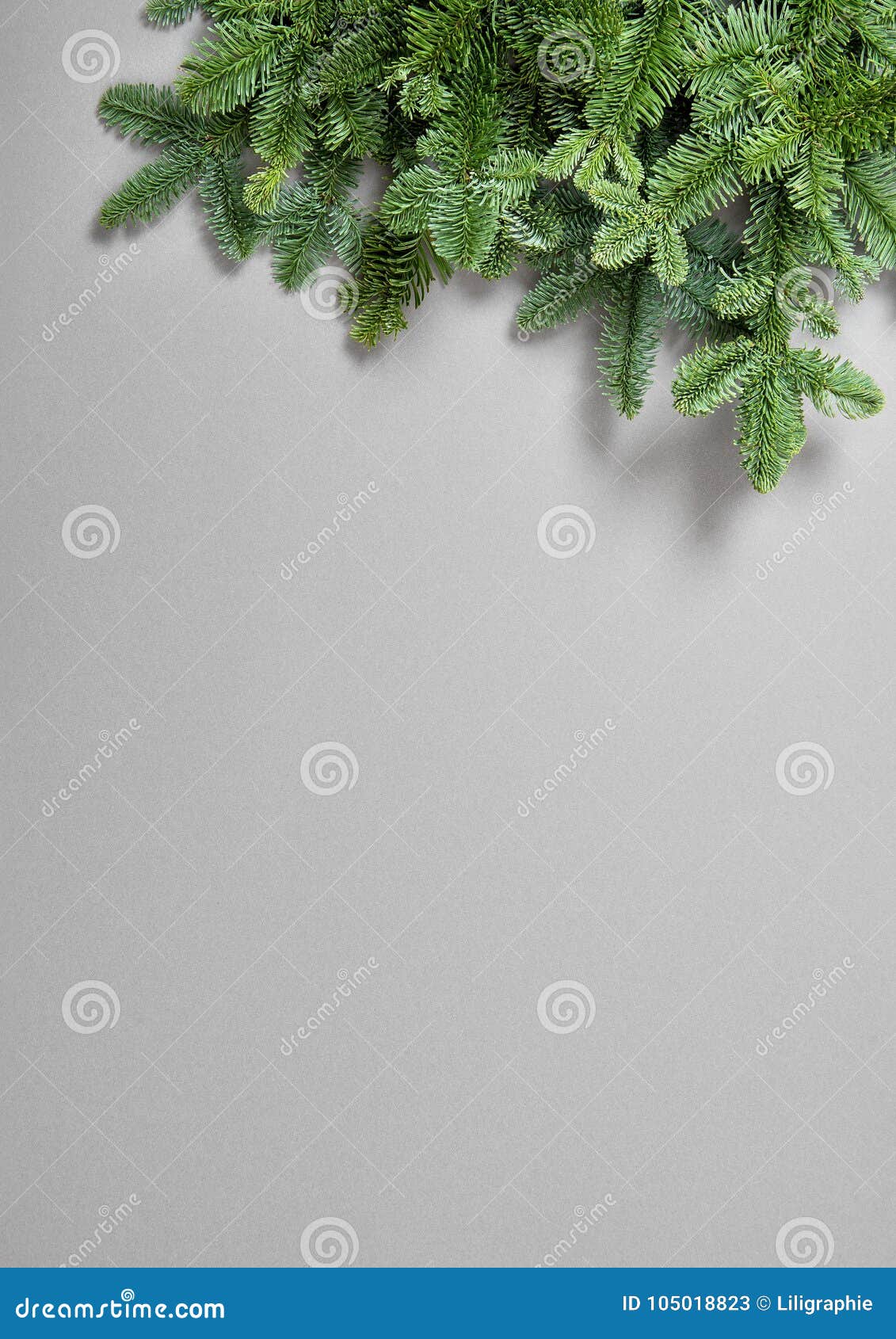 16,925 Pine Tree Grey Background Stock Photos - Free & Royalty-Free ...