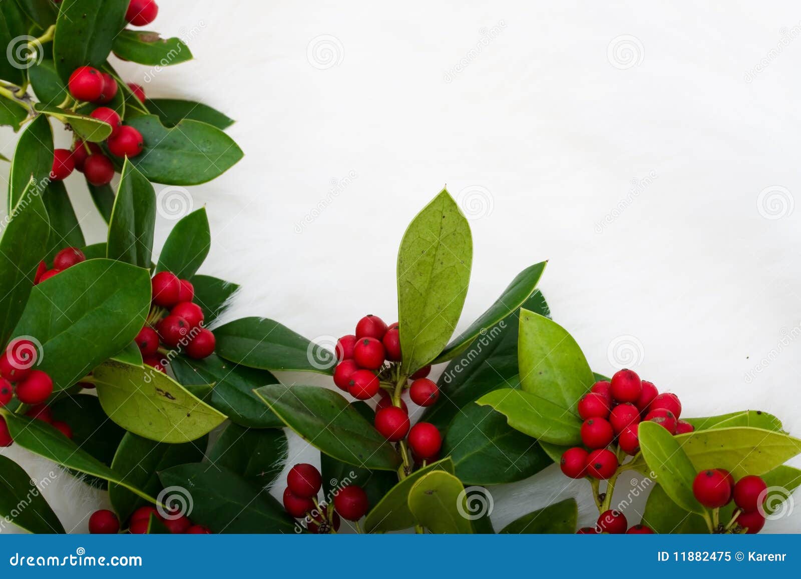 Christmas Holly Border stock image. Image of christmas - 11882475