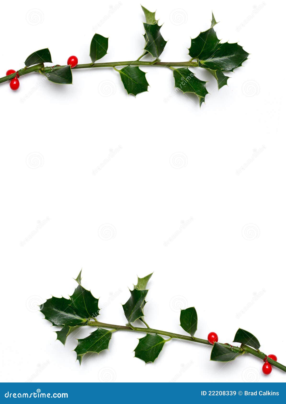 Christmas holly frame stock image. Image of frame, holly - 22208339