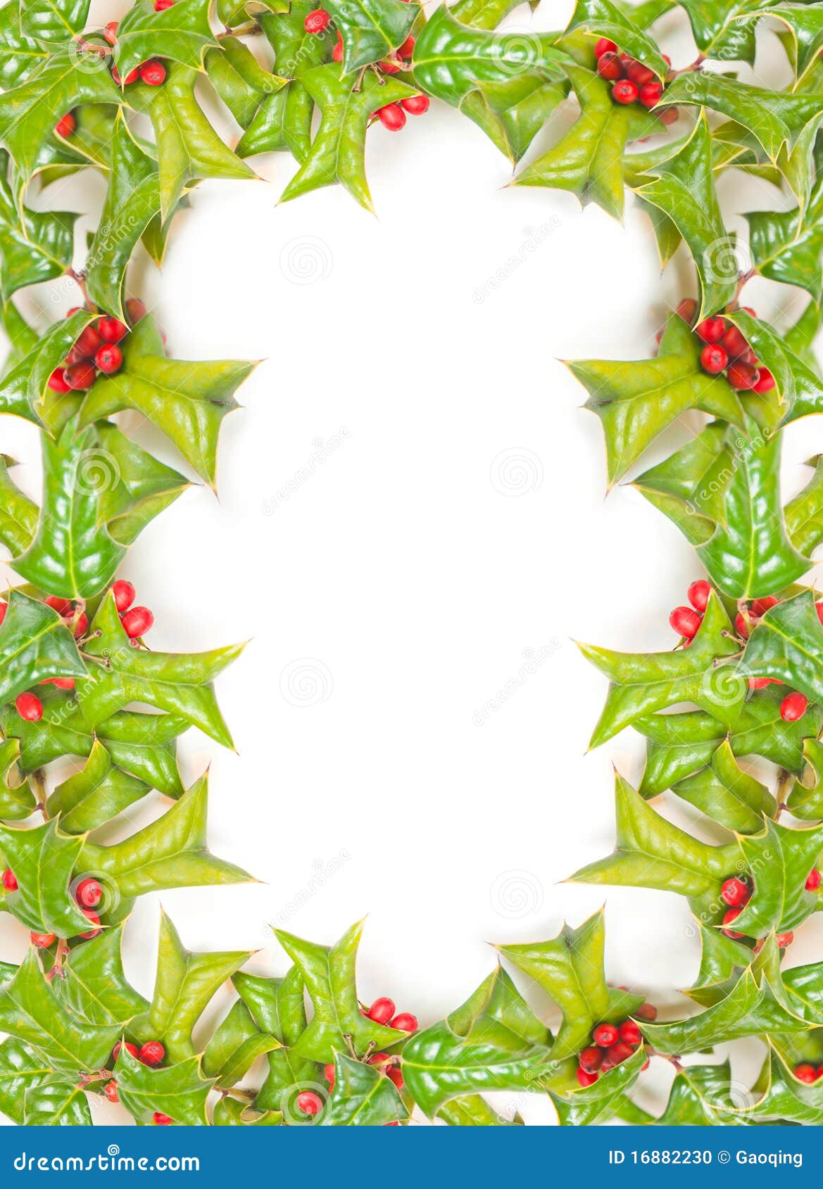 Christmas Holly Frame Isolated Stock Photo - Image of foliage ...